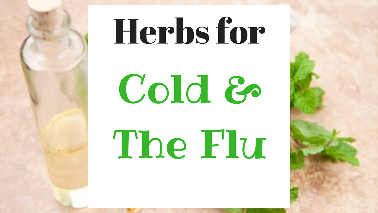 An Herbal Flu Blend You've Never Heard of Before - Jovanka Ciares
