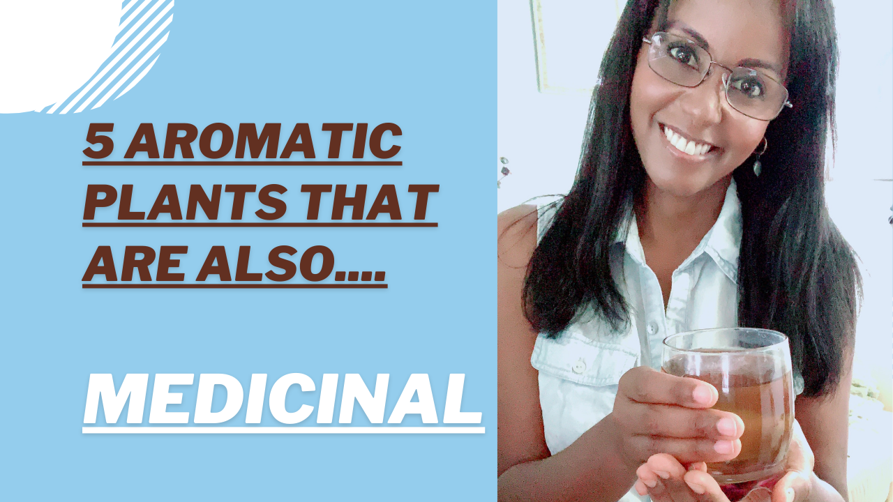 5 Aromatic Plants That are Also Medicinal - Jovanka Ciares